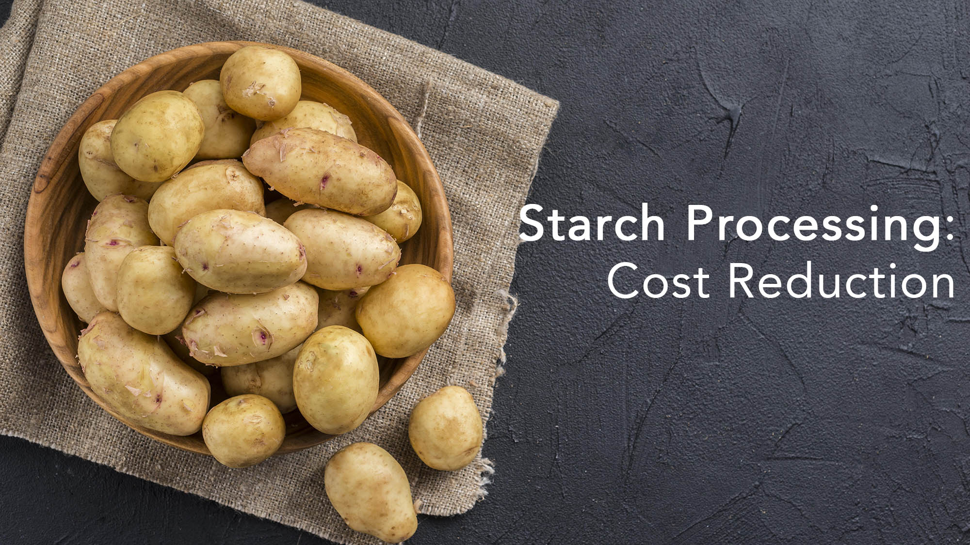 Improving Starch-digesting Enzyme Function with Computational Model ...