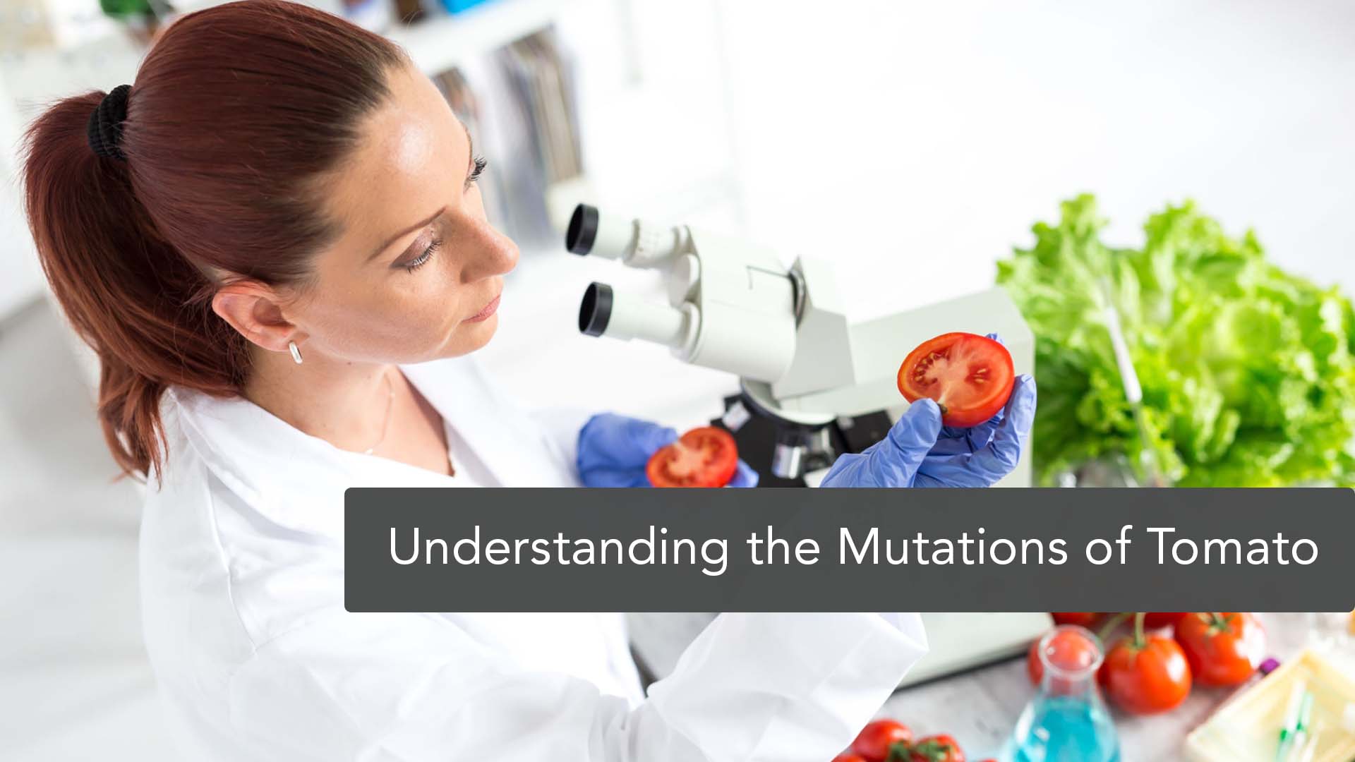 Mutations Alter Postharvest Tomato Shelf Life and Nutrients - iesResearch