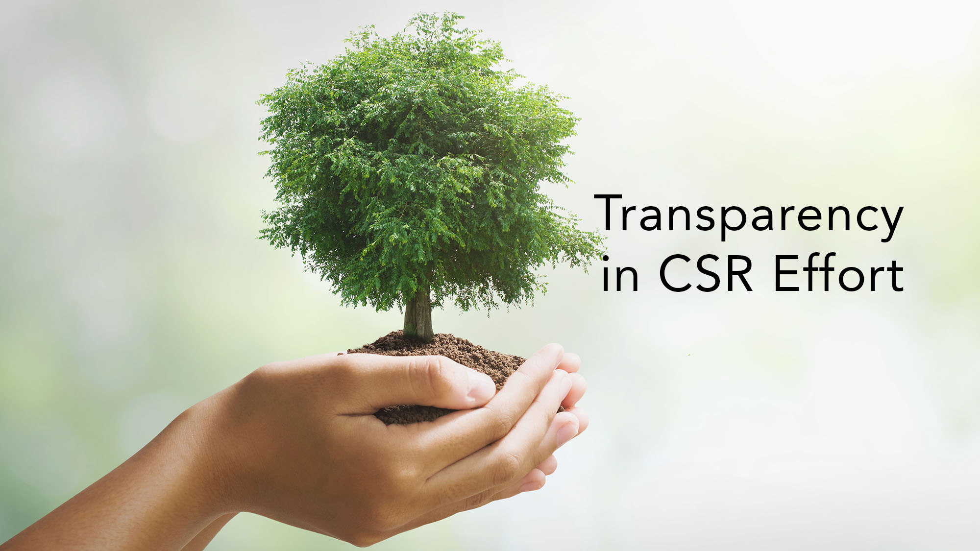 Factors Influence CSR Transparency in Developing Countries | iestory
