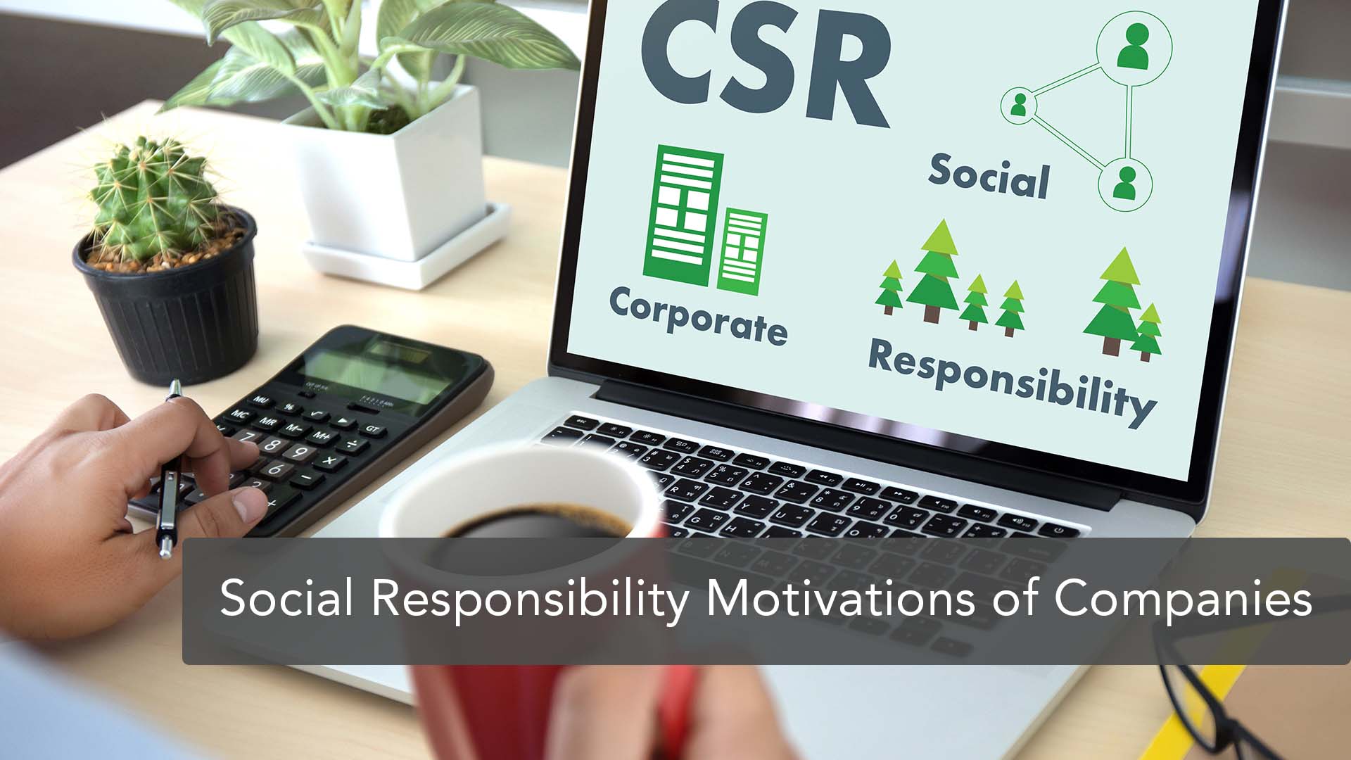 Factors Influence CSR Transparency in Developing Countries - iesResearch