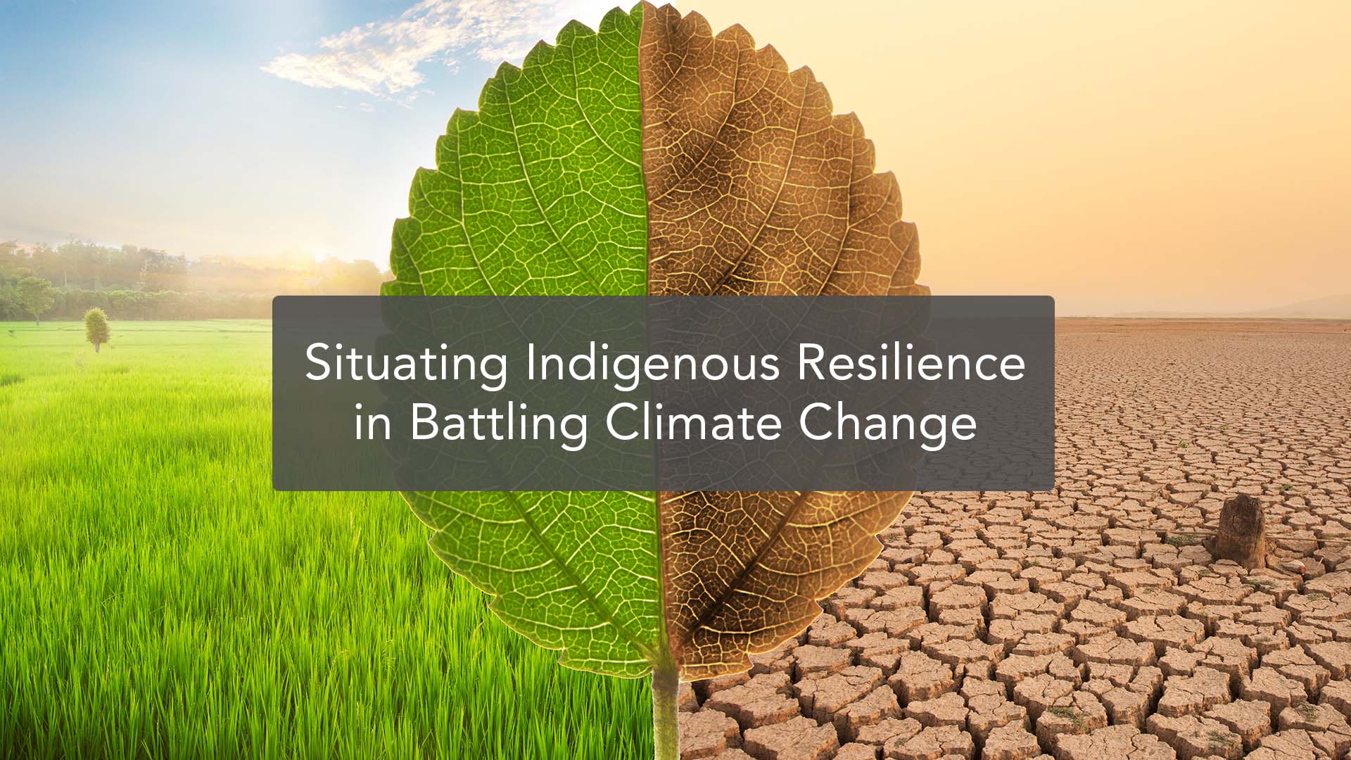 An Indigenous Tribe’s Attempt to Reinstate Sustainable Development and ...