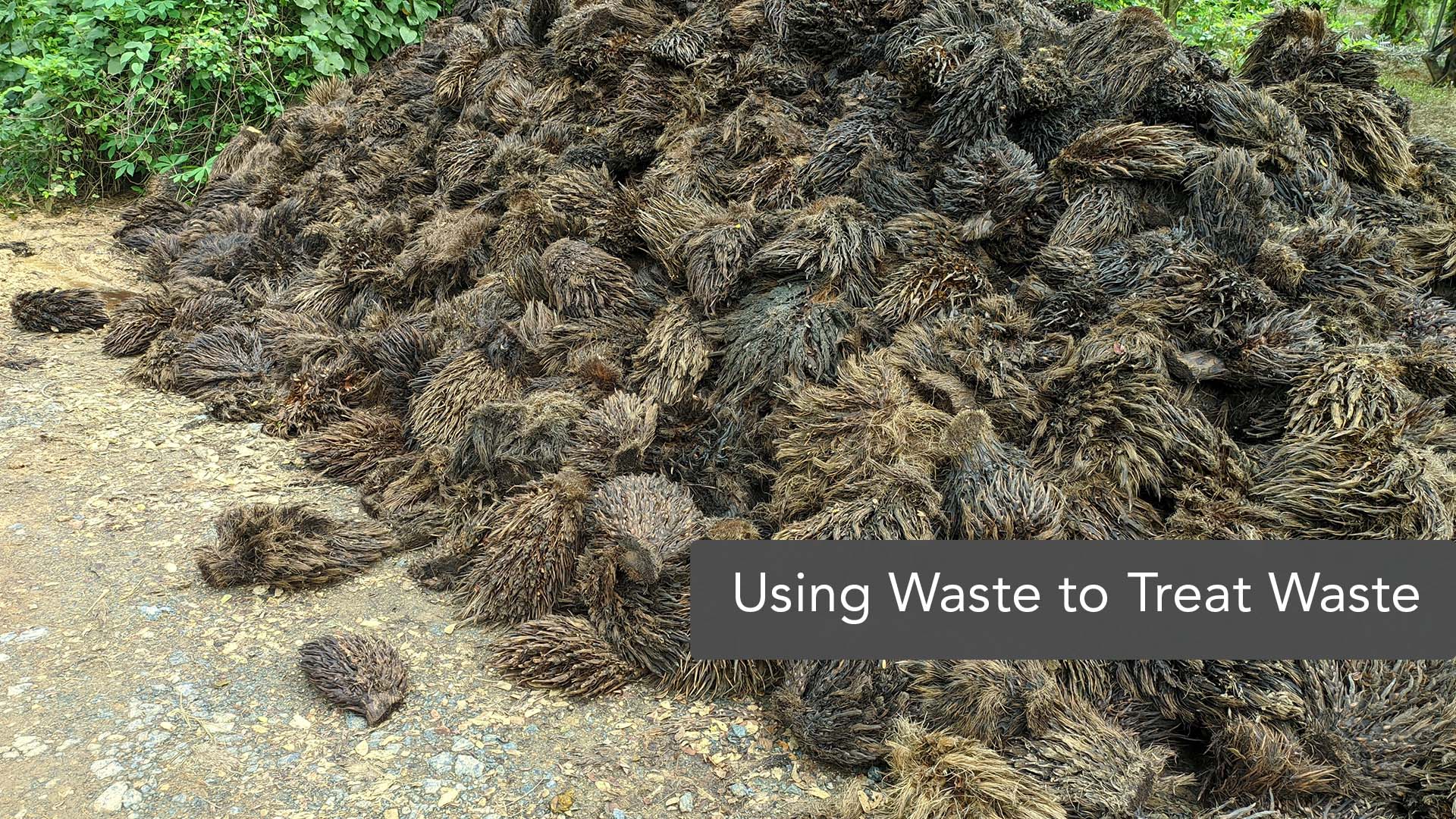 Oil Palm Waste-derived Nano-photocatalyst Can Treat Wastewater from ...