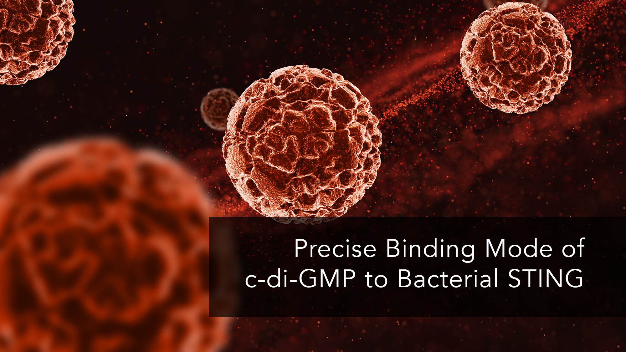 Unveiling the Binding Mode between Bacterial STING & c-di-GMP - iesResearch