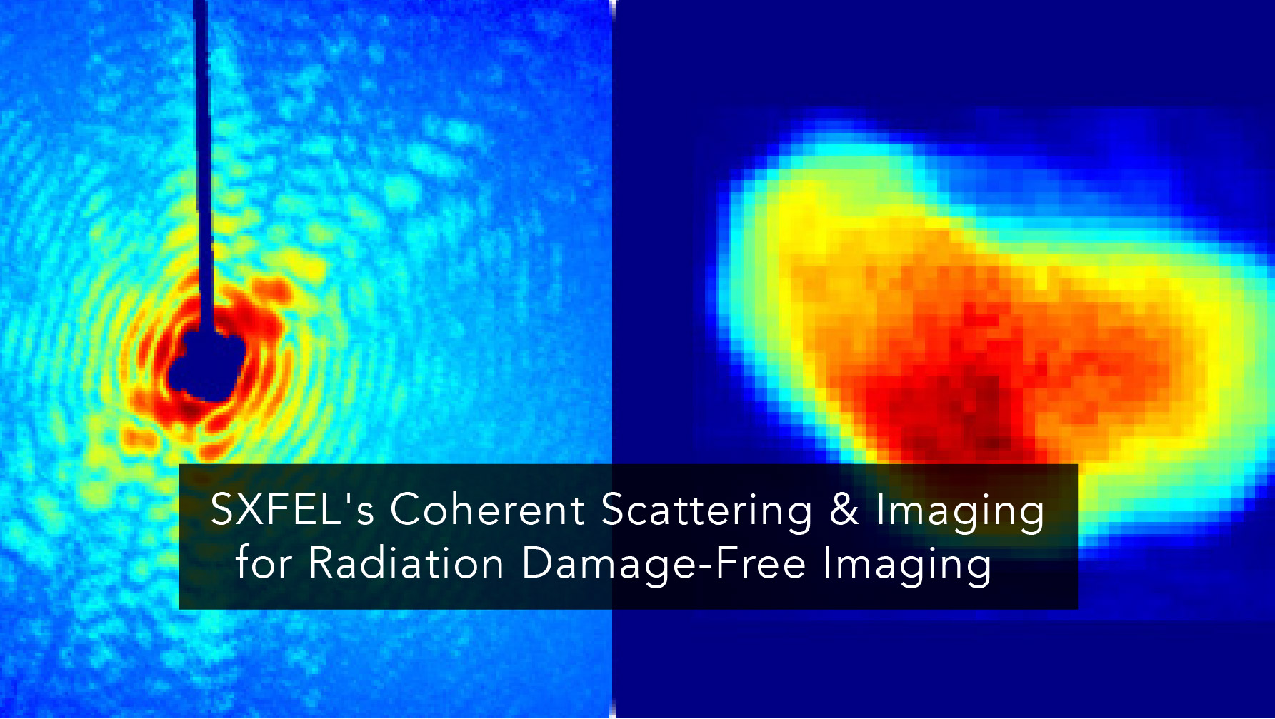 Nanoscale Radiation Damage-Free Imaging by Coherent Scattering and ...